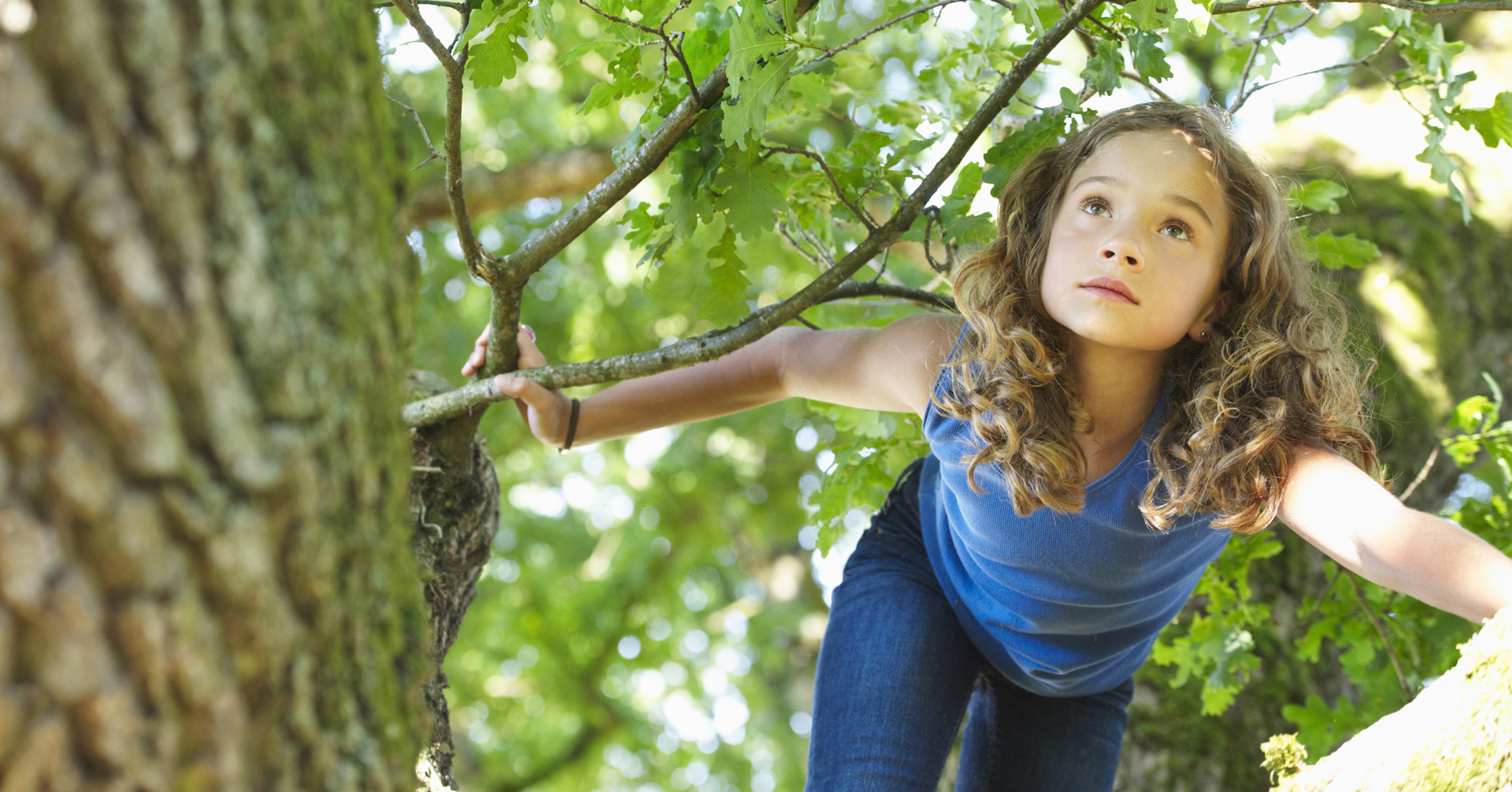 New Construction Homes in Justin at the Treeline Community